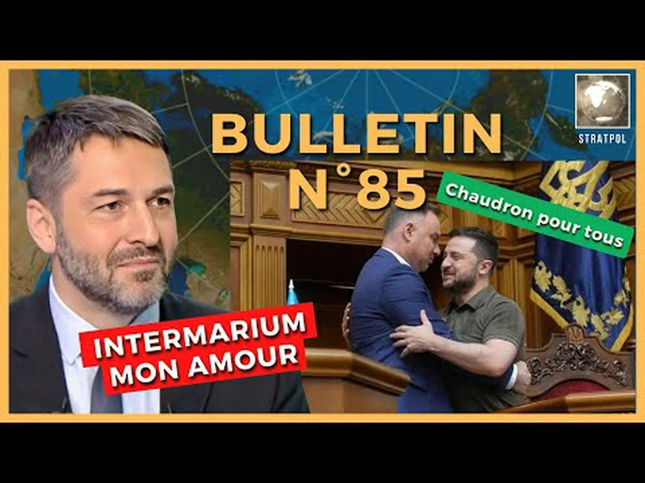 Bulletin N°85. Intermarium mon amour, chaudron pour tous. 28.05.2022.