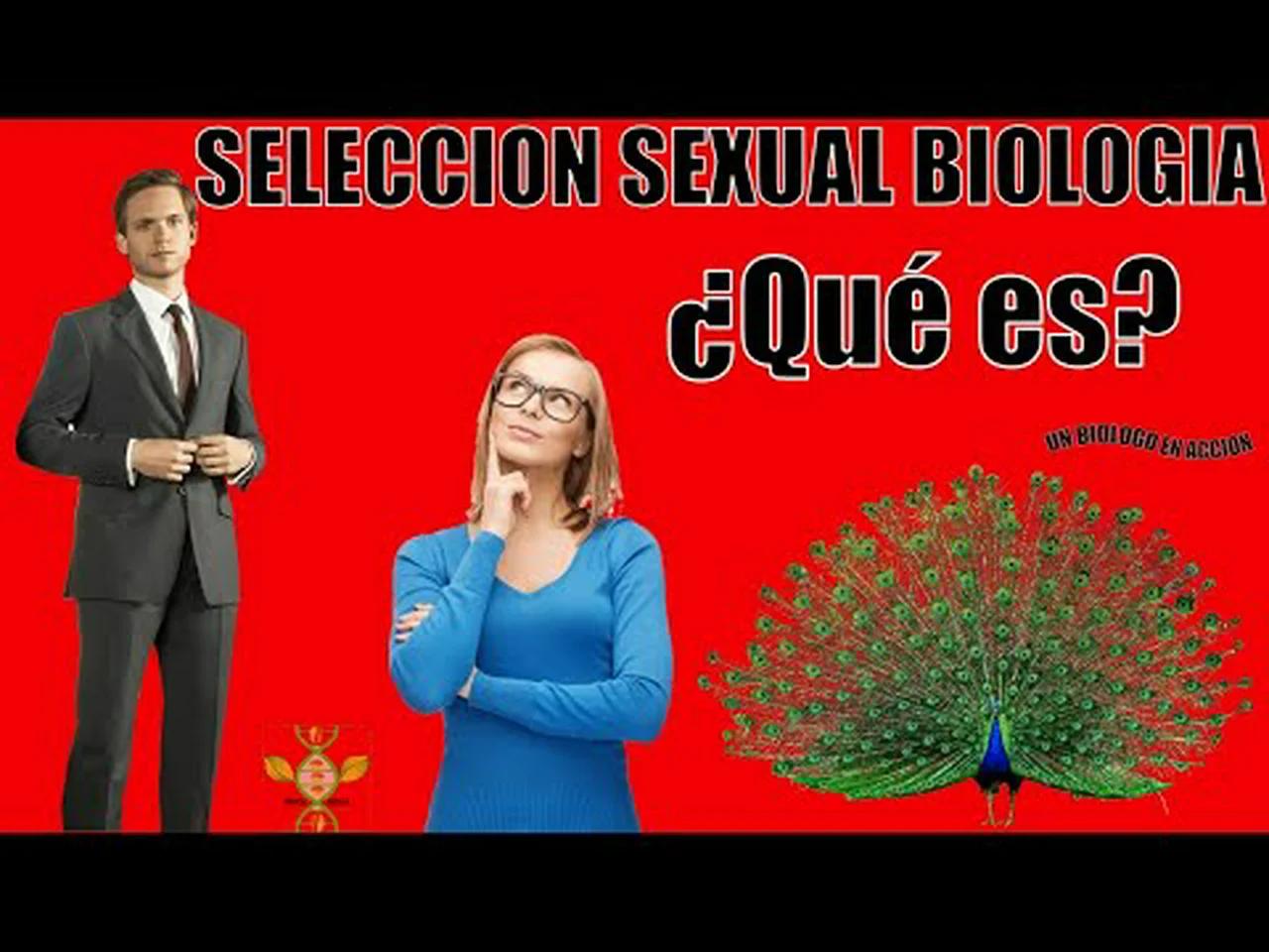 ¿Qué es la selección sexual? como se elije la pareja