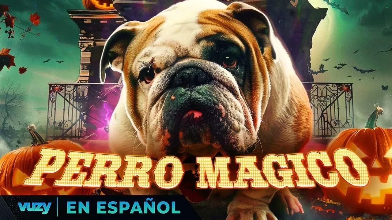 PERRO MAGICO | ESTRENO 2024 | PELICULA EXCLUSIVA FAMILIAR | PELICULA EN ...