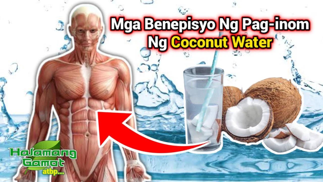 Mga Benepisyo Ng Pag inom Ng Coconut Water | Halamang Gamot ATBP