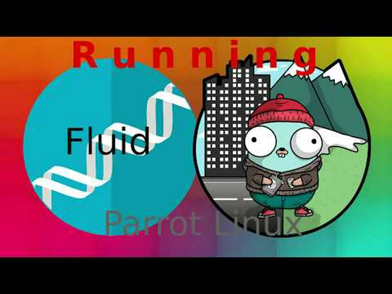 How To Run Fluid Shiny Example With Terminal On Parrot Security Linux Bynp