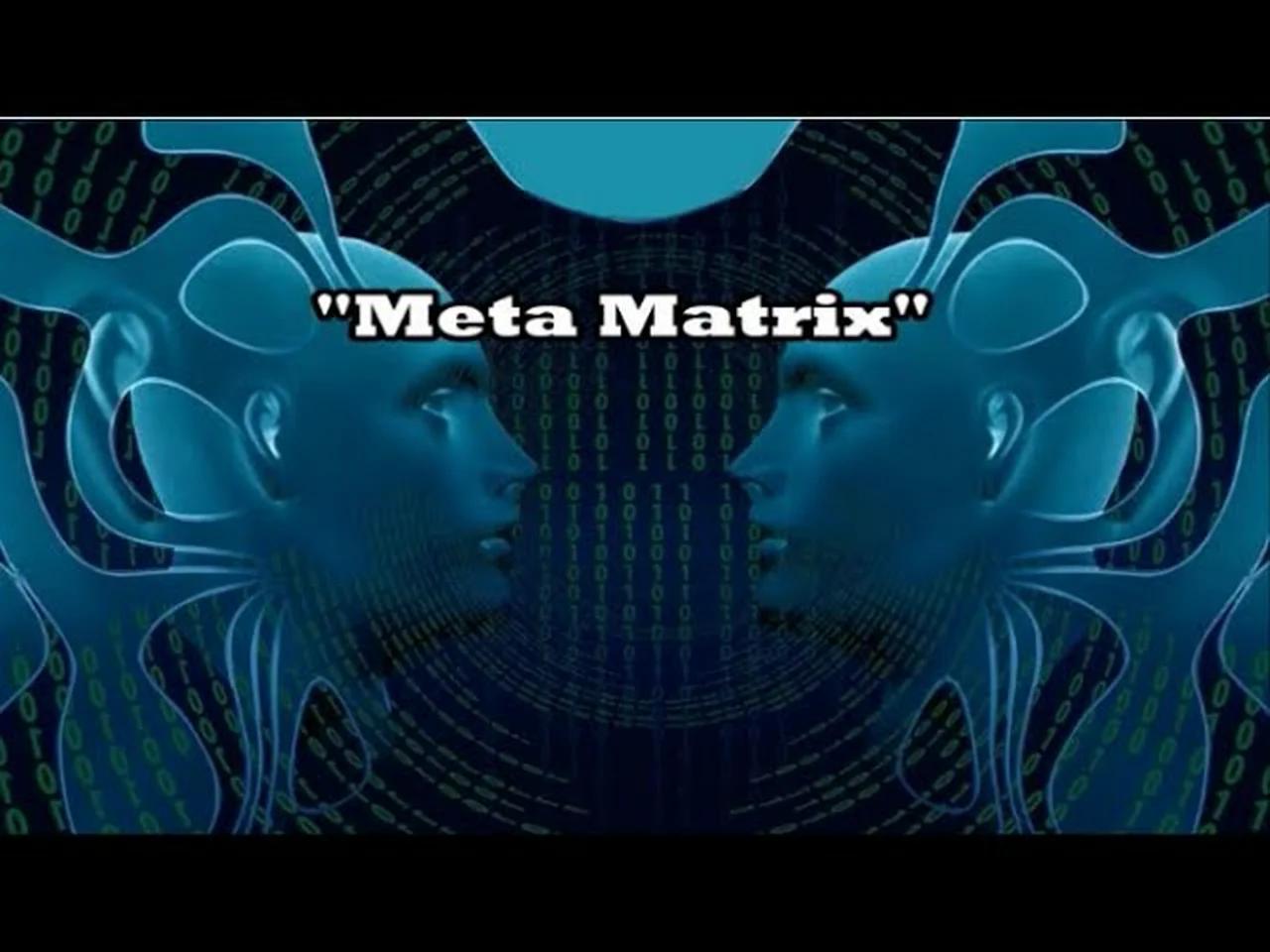 "Meta Matrix"