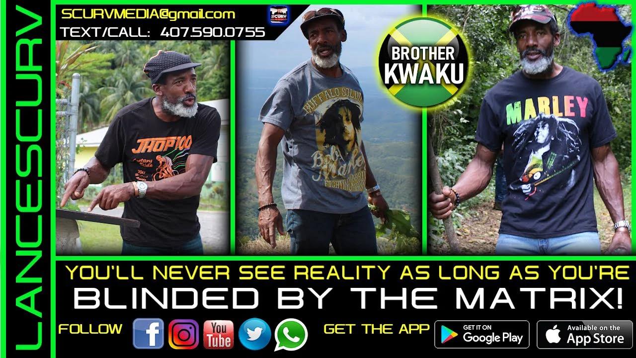 YOU'LL NEVER SEE REALITY AS LONG AS YOU'RE BLINDED BY THE MATRIX ...