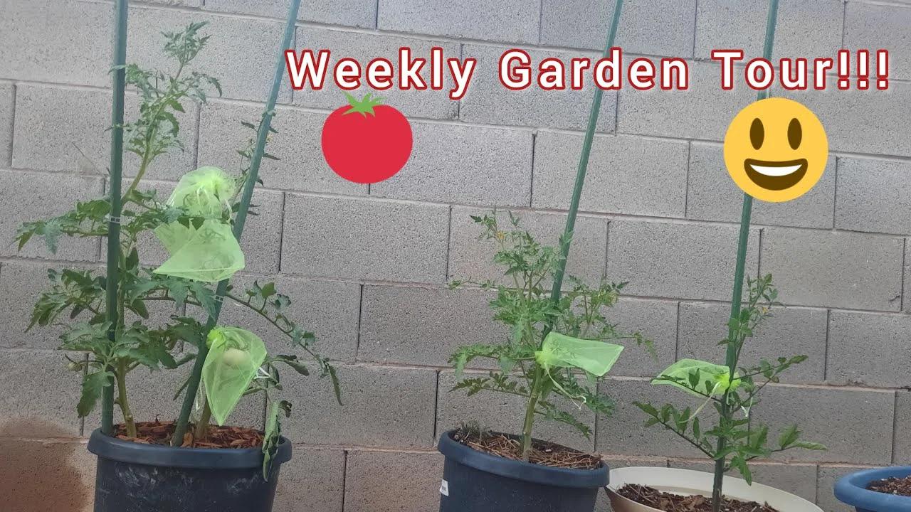 My first GARDEN TOUR!!