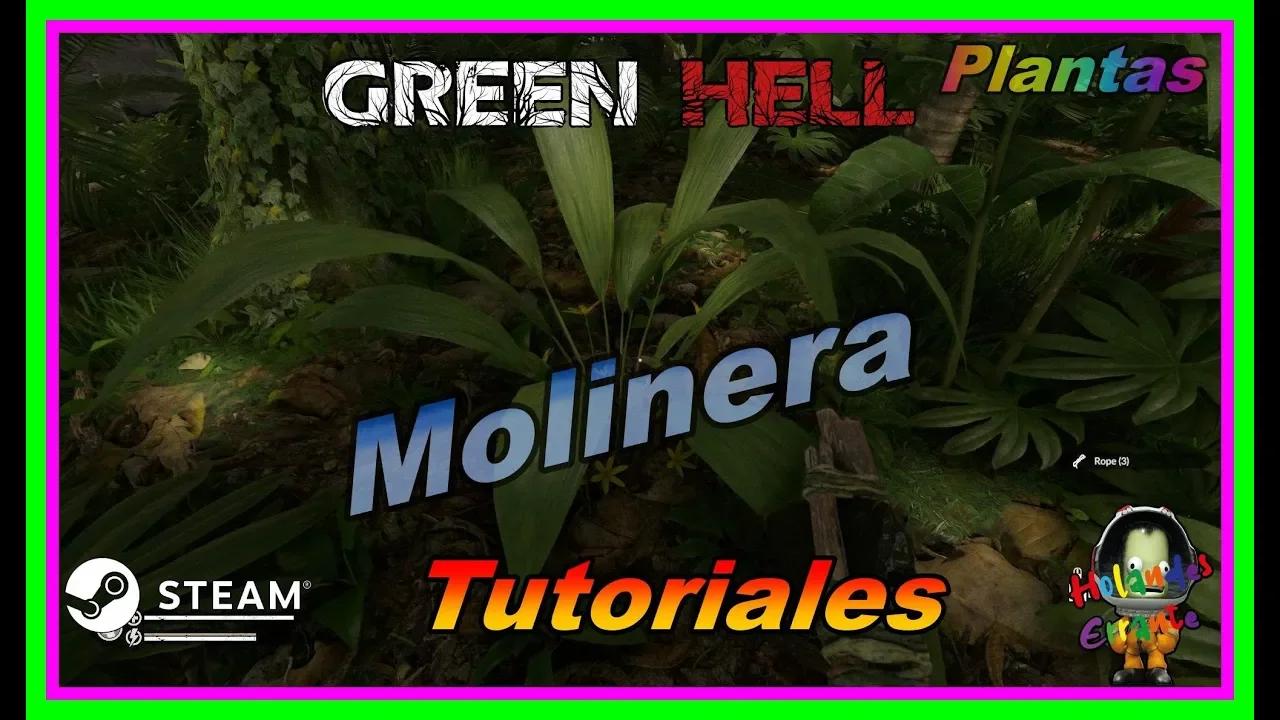 Para que sirve la planta "Molinera" en Green Hell 🌴 Tutorial 2023