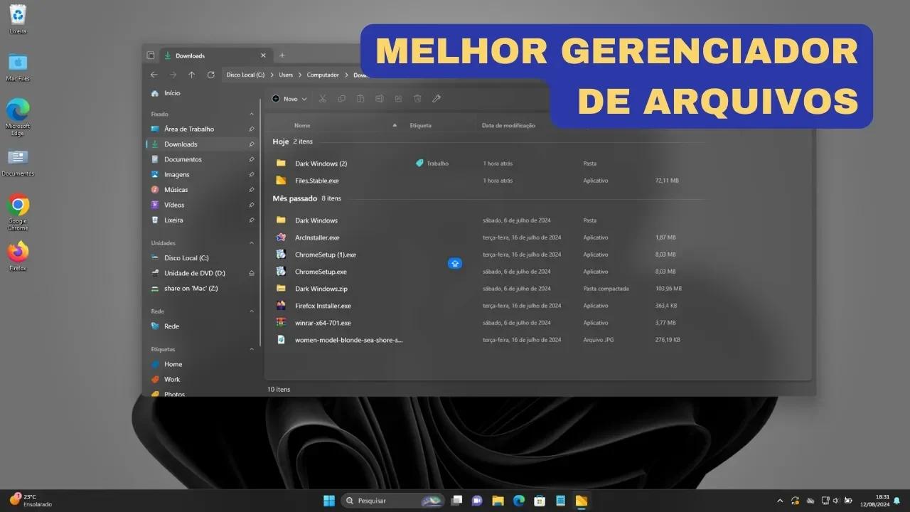 Substitua o Windows Explorer por algo melhor !!! Files