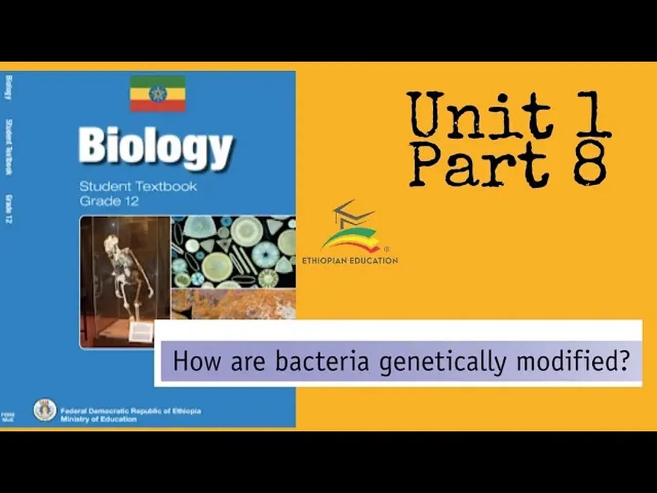 Ethiopian Grade 12 Biology Unit_1 p_8 genetic modification of bacteria