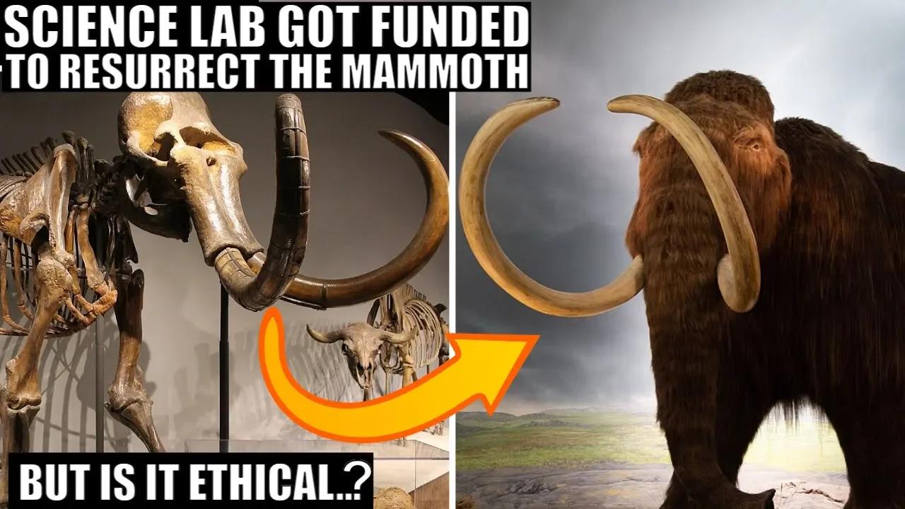 Scientists Got Funding To Resurrect Woolly Mammoth - But Why?