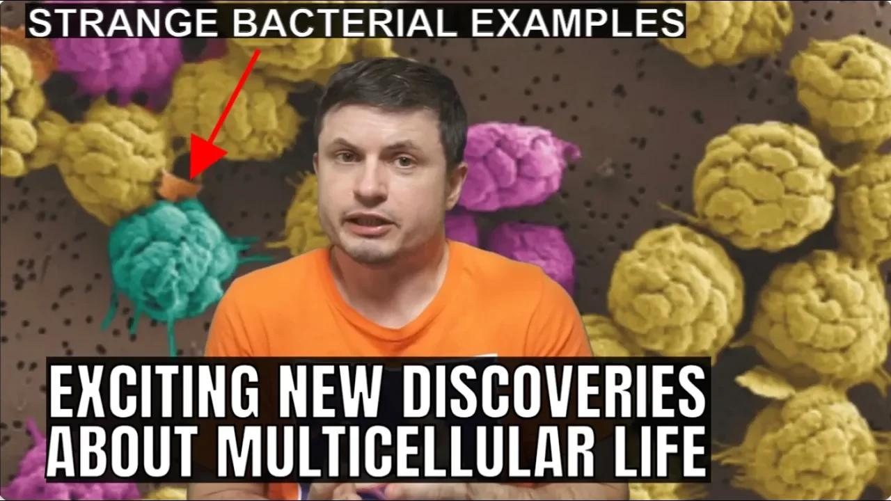 Mind-blowing Multicellular Bacteria Reveal How Life Became Complex