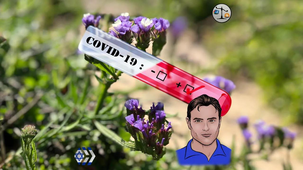 How we can get back to life with frequent Covid rapid testing at home