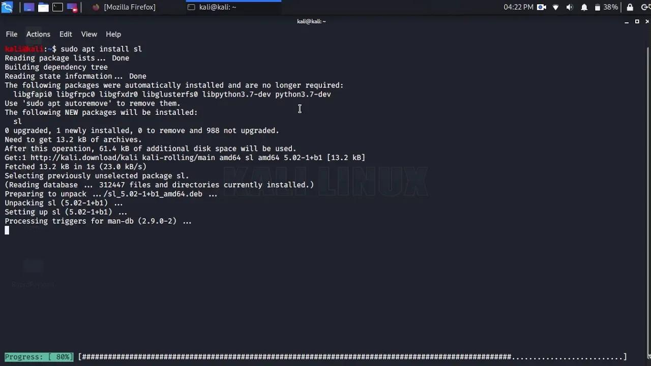 A nice train in the Kali-linux terminal