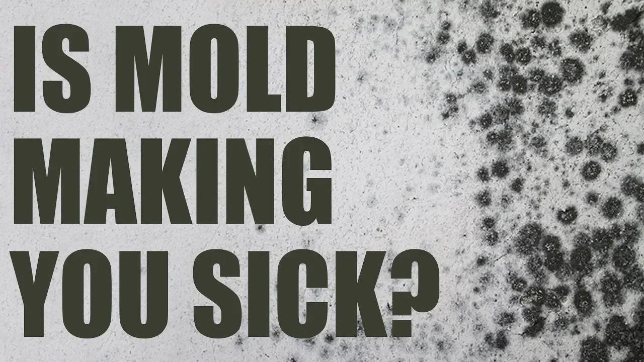 Mold & Chronic Fatigue, Brain Fog, Fibromyalgia, Pain | Holistic Health ...