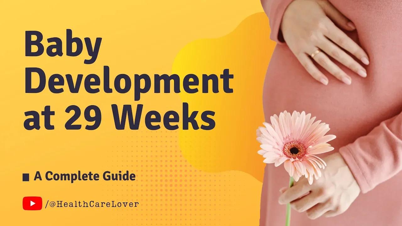 Baby Development at 29 Weeks: A Complete Guide | Health Care Lover