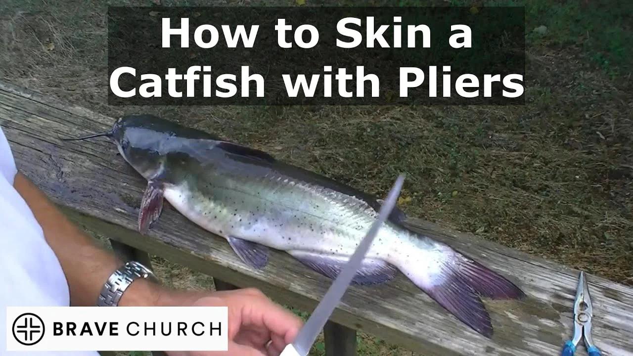 Catfish 101- How to Skin a Catfish With Pliers