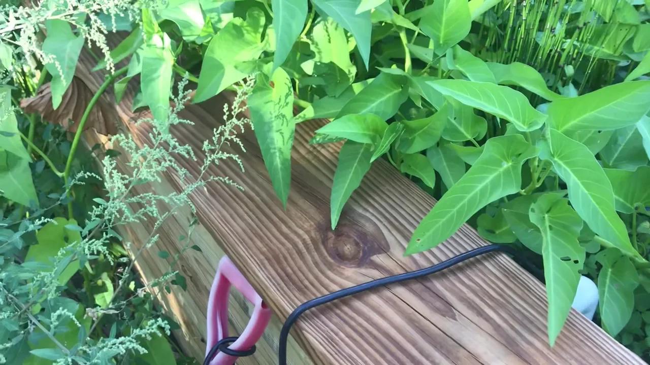 Garden Project Overview for the TSP Nine Mile Farm Fall Workshop