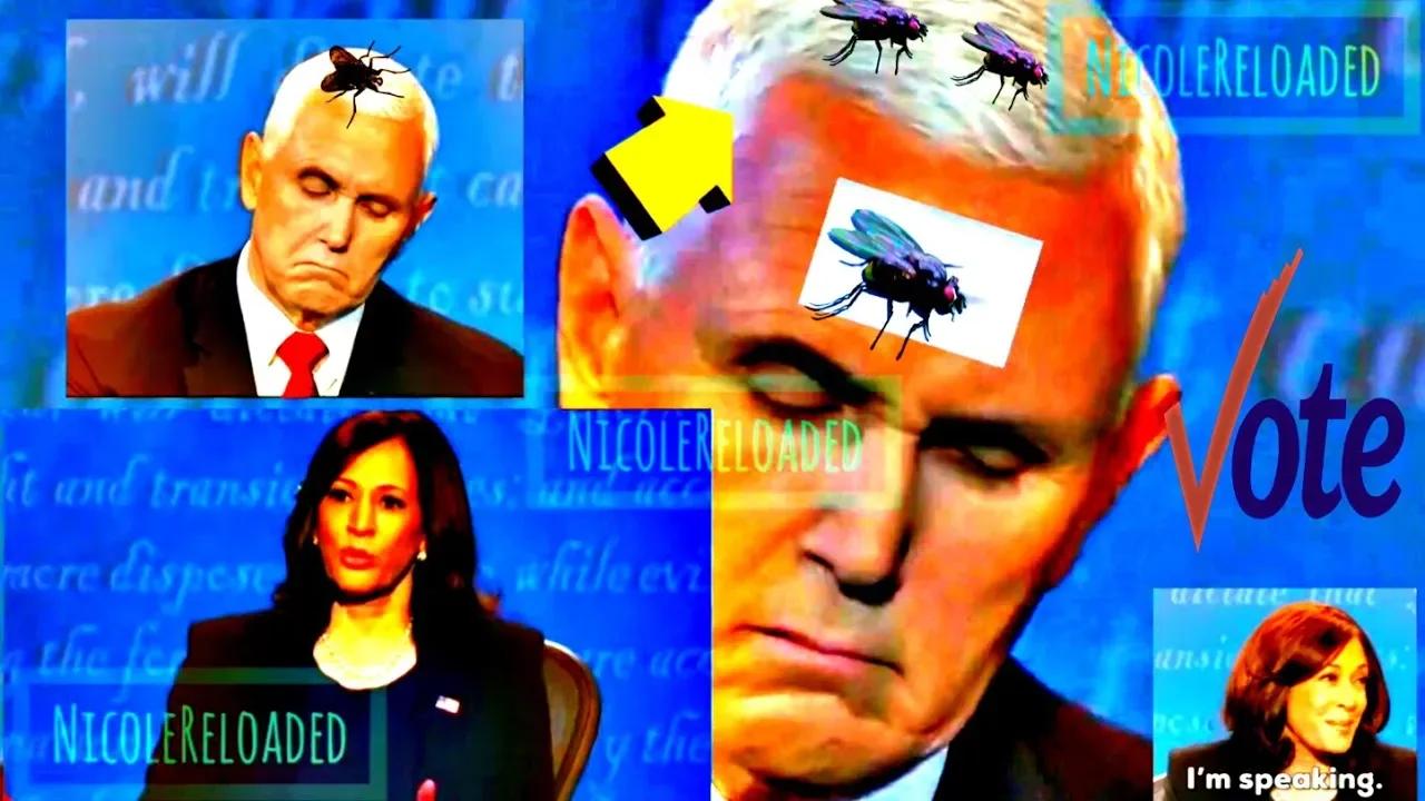 #MikePence Viral Video Fly Lands On Mike Pence’s Head For Two Minutes ...
