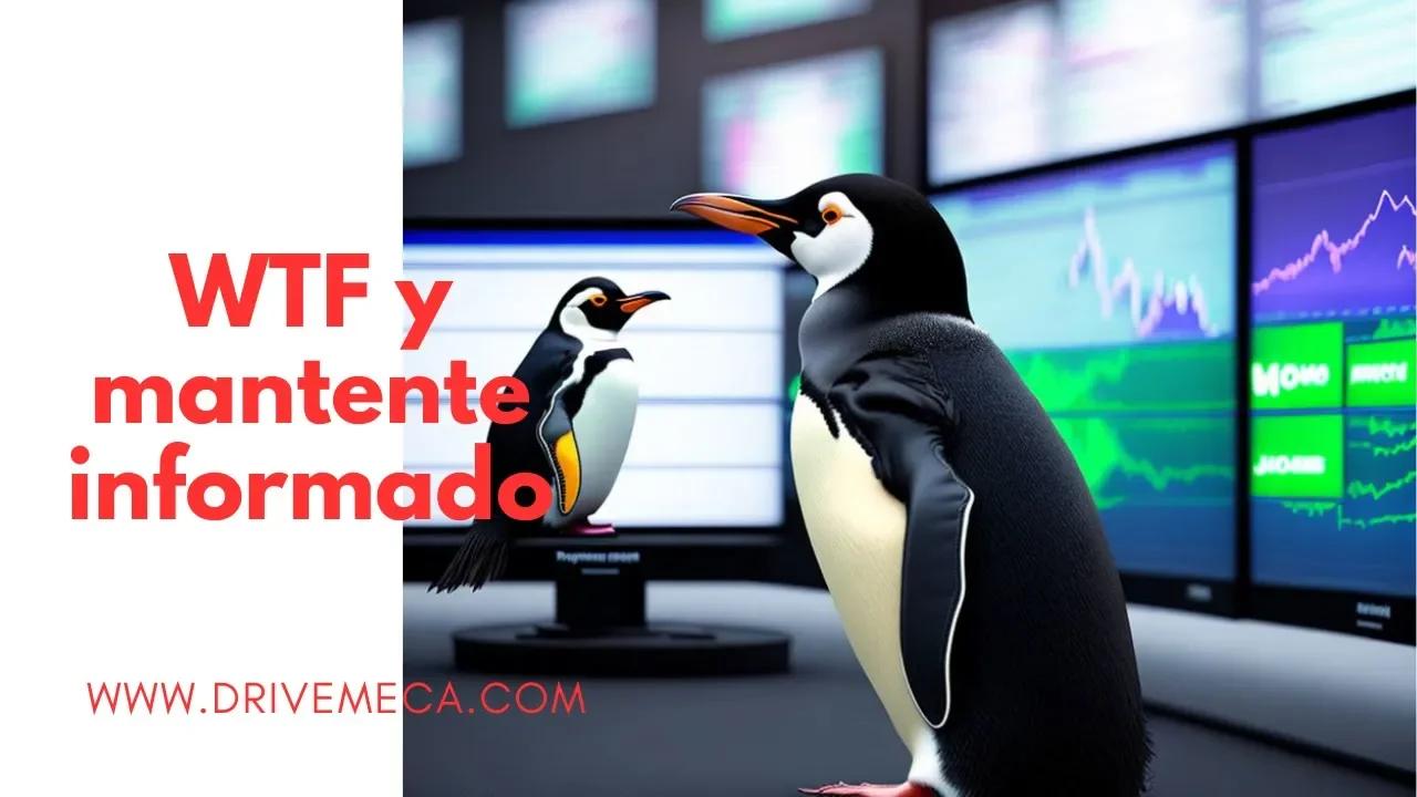 Como instalar y usar WTF en Linux