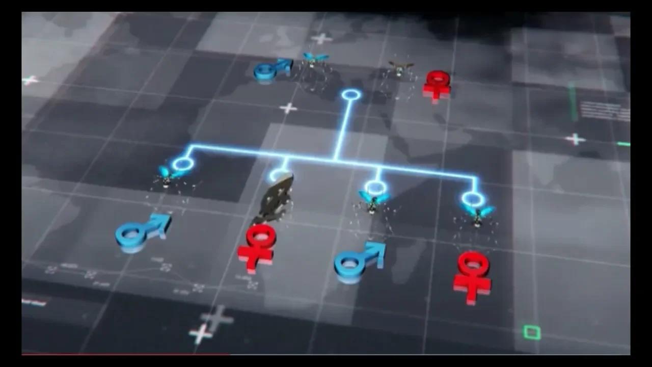 Thousands of genetically modified mosquitoes being released in Florida