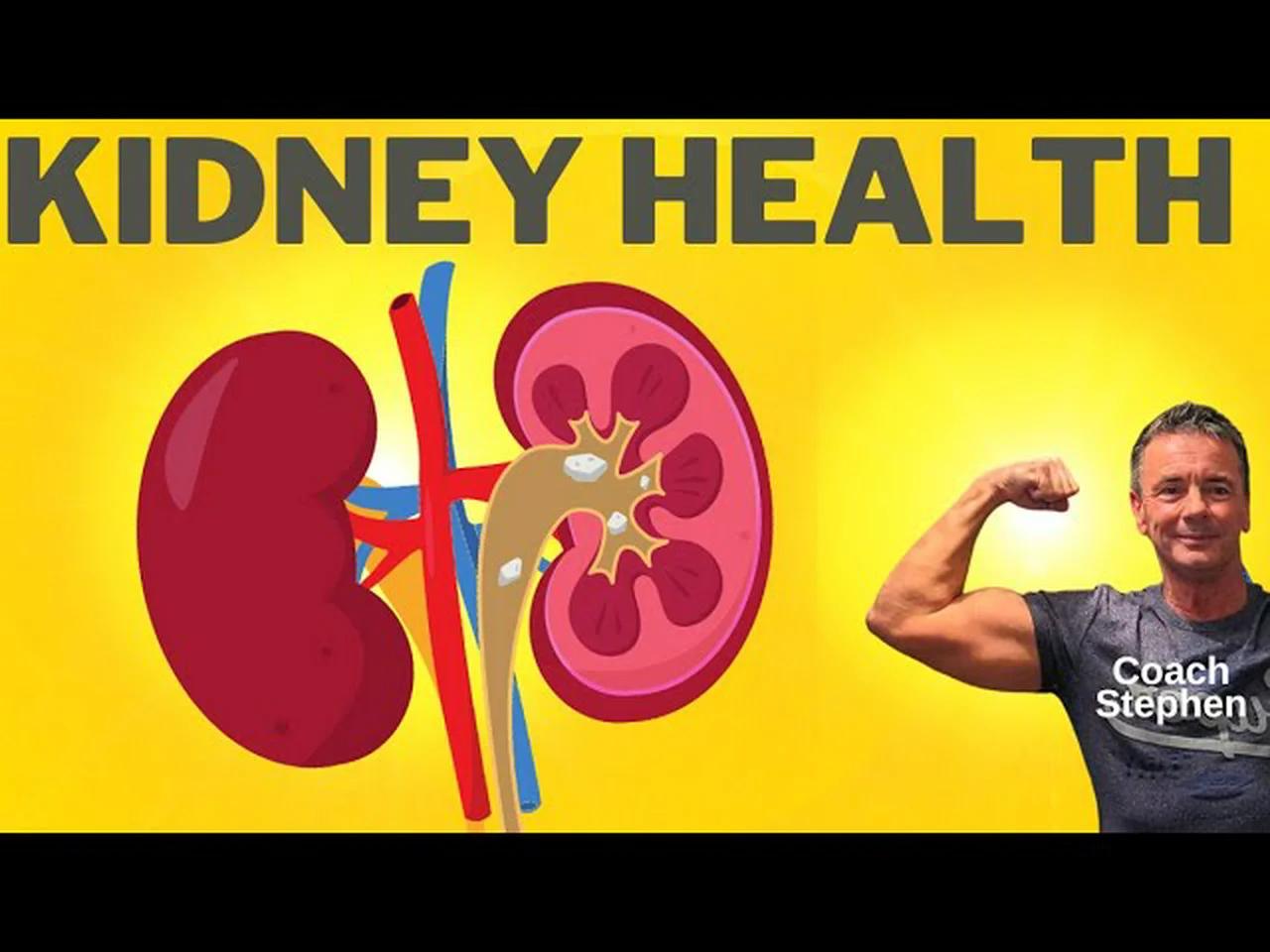 Understanding Kidney Function and Its Importance in Filtering Blood and ...