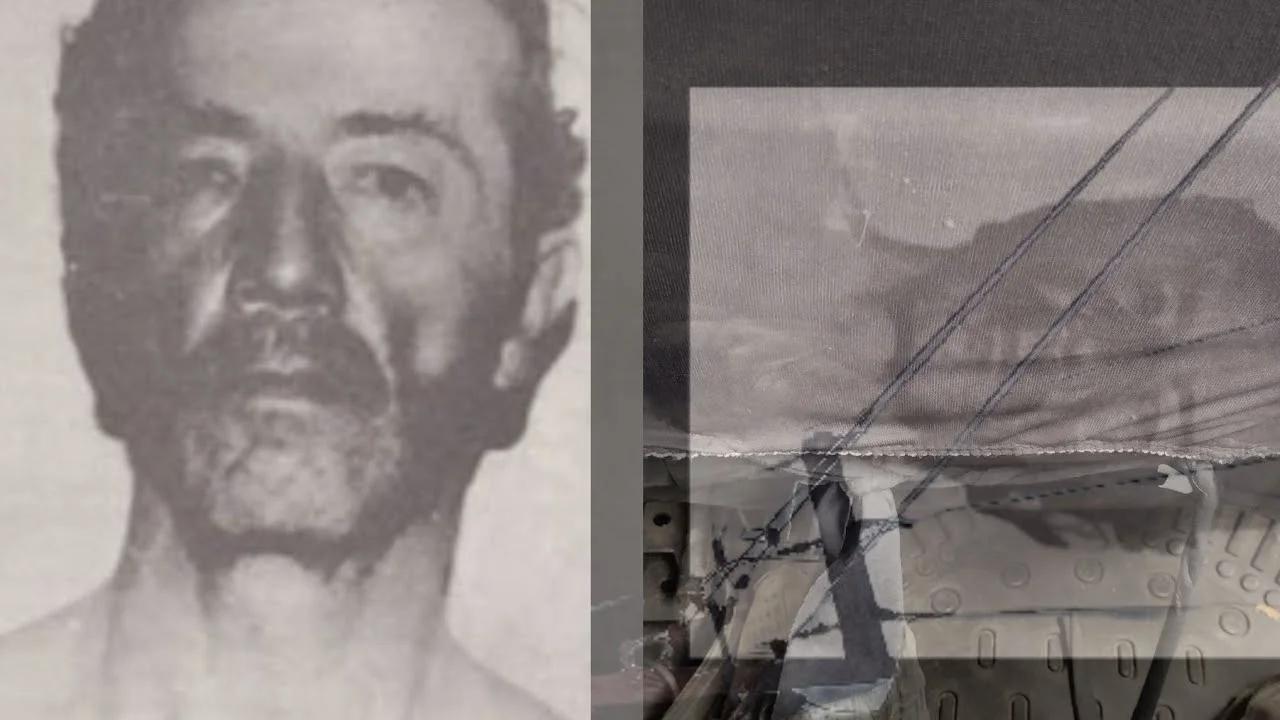 serial Daniel Camargo Barbosa