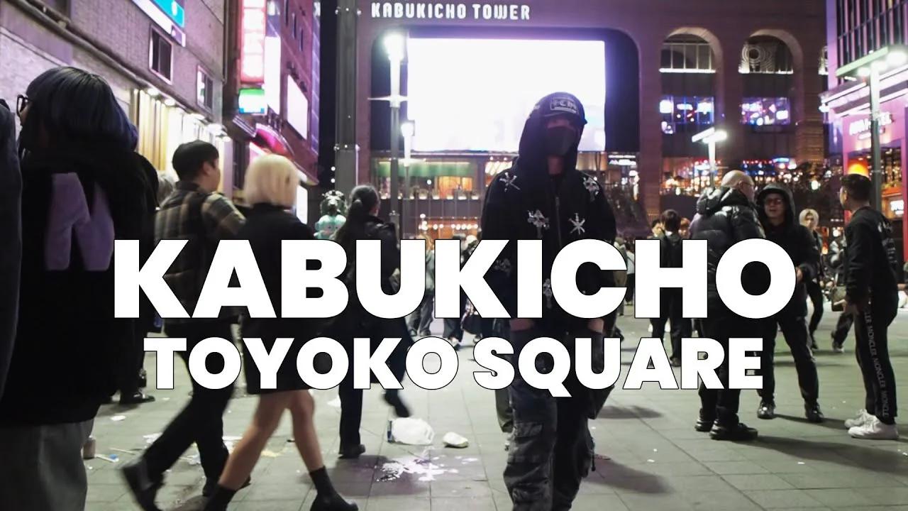 Kabukicho Toyoko Square - JAPAN UNCUT