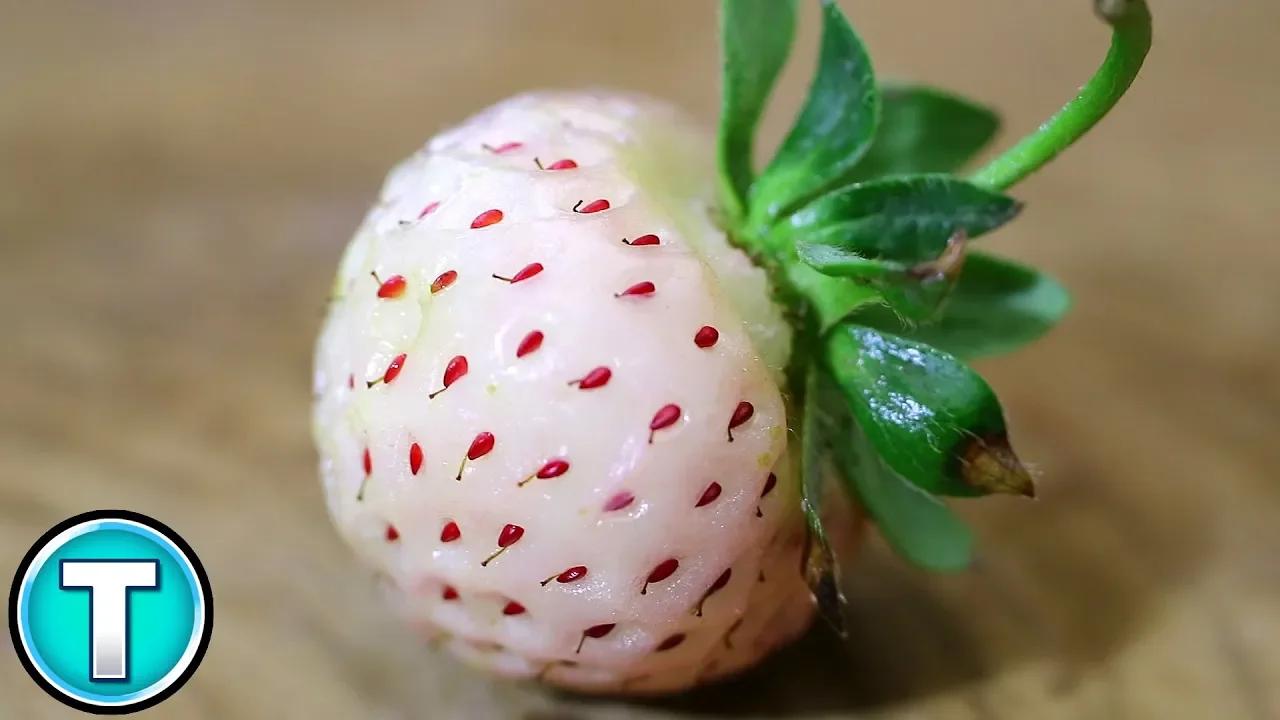 Top 10 Fruits You've Never Heard Of Part 10