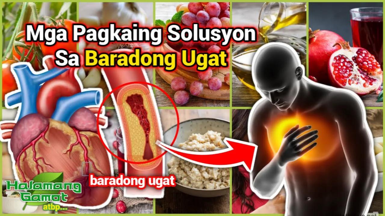 Mga Pagkaing Solusyon Sa Baradong Ugat | Halamang Gamot ATBP