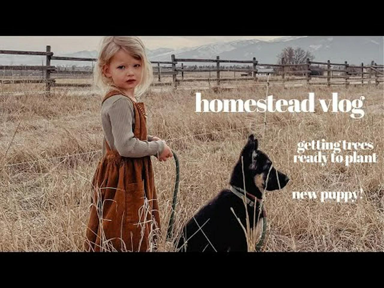 We Got A German Shepherd Puppy & Getting Ready To Plant 600 Trees ...