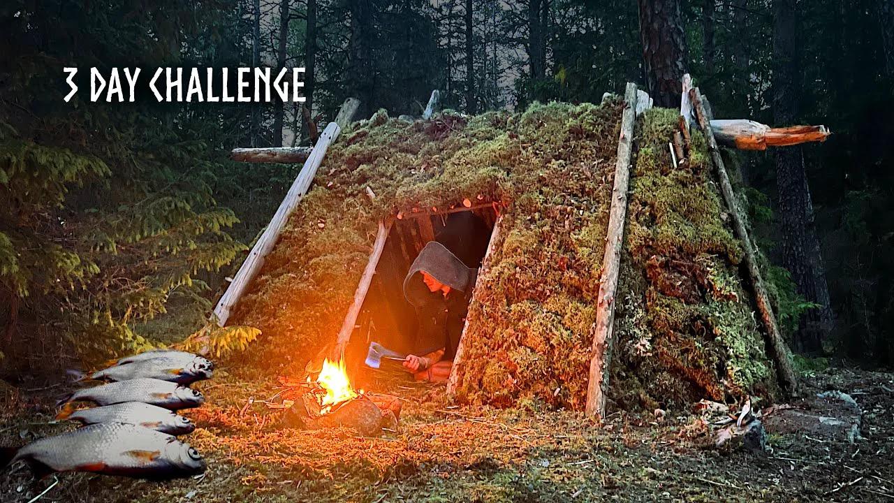 3 Days Island Survival: NO FOOD, Building a PRIMITIVE Hut from Scratch!