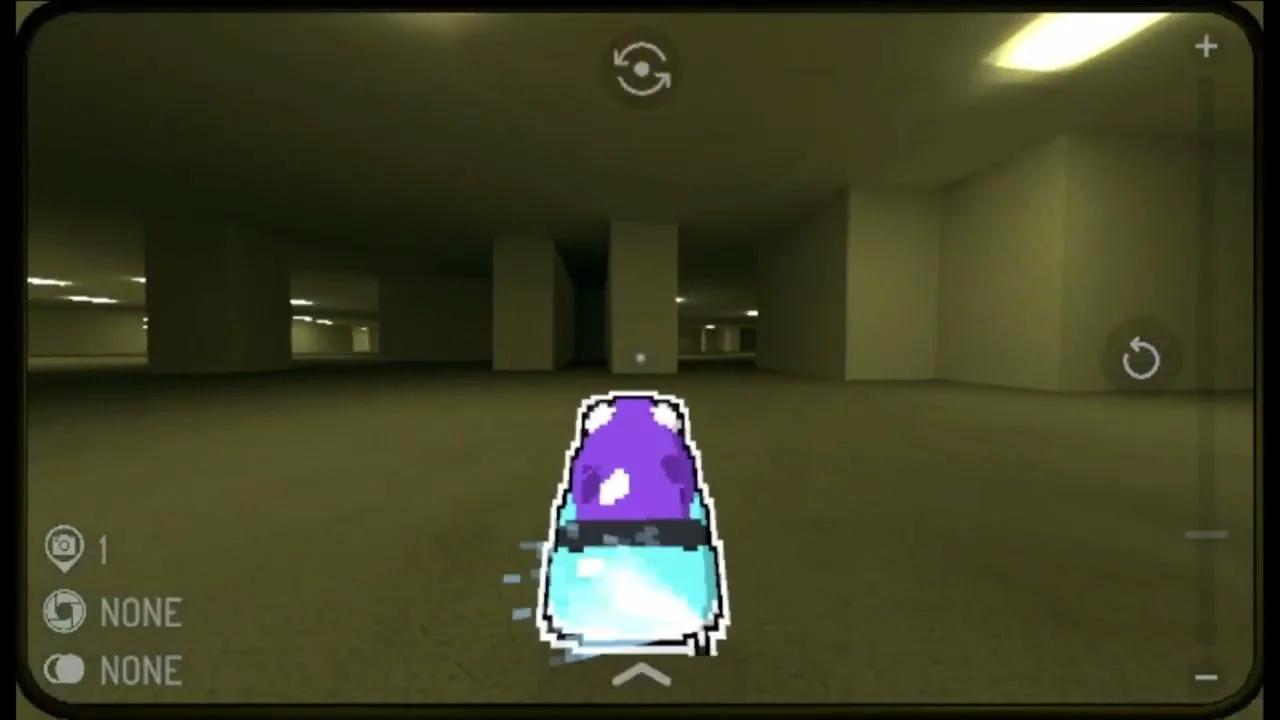 VRchat Backrooms Frog Racing