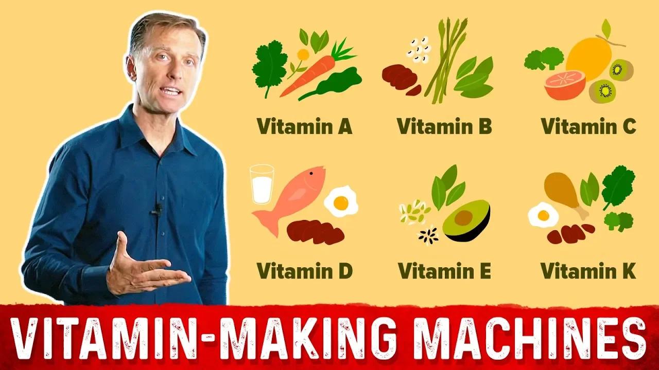 Your Good Bacteria Are Vitamin-Making Machines