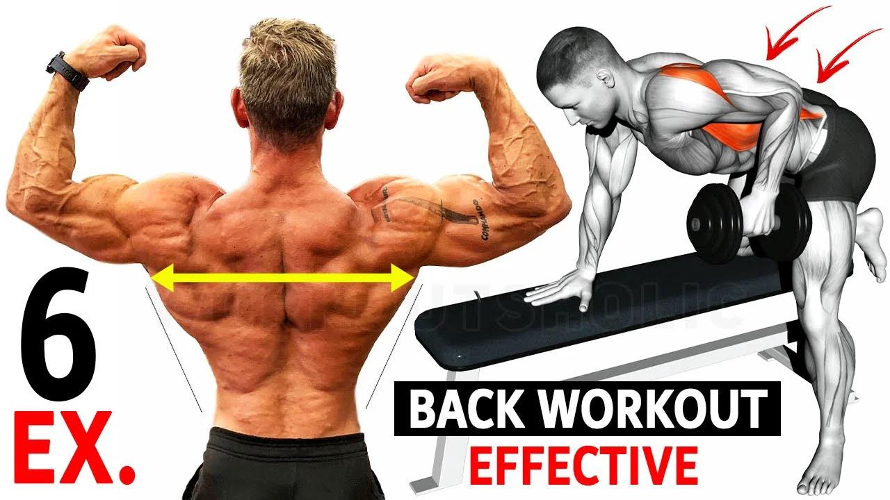 How To Build Your Back Workouts - 6 Effective Exercises
