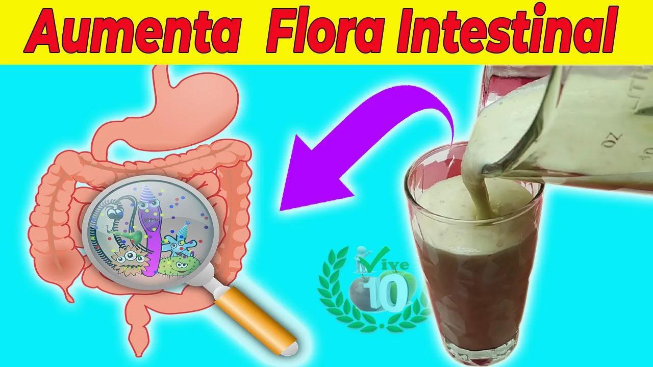 Como Regenerar la FLORA INTESTINAL Rapido de Forma NATURAL 🔥Poca Gente ...