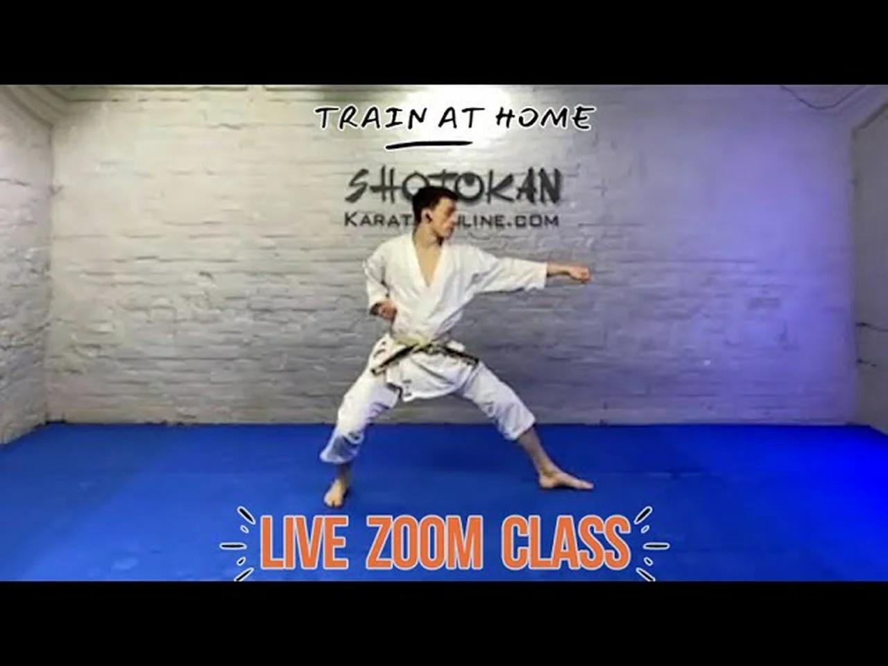 Live Karate Zoom Class 14.01.21