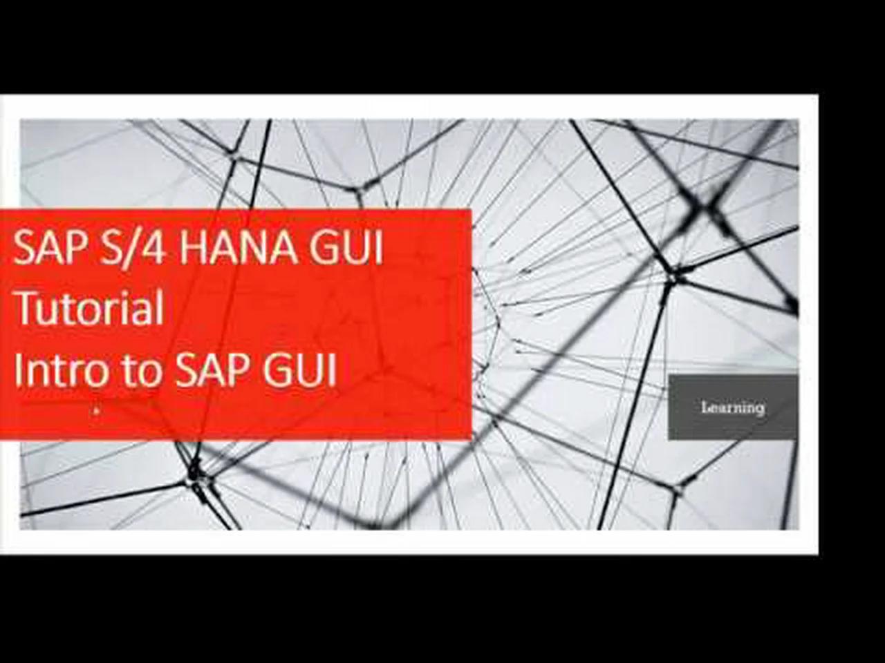 SAP S4 HANA GUI Tutorial