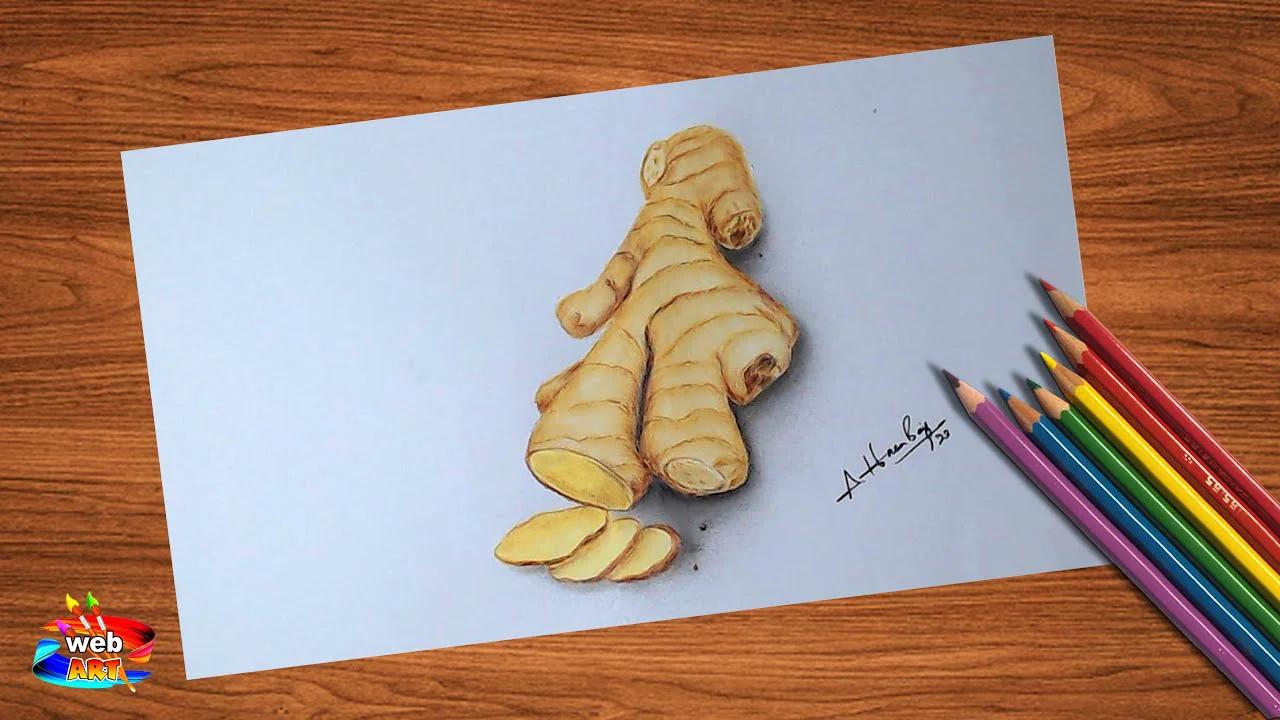 How to draw Realistic Ginger Ginger drawing, webart 117, #ginger # ...