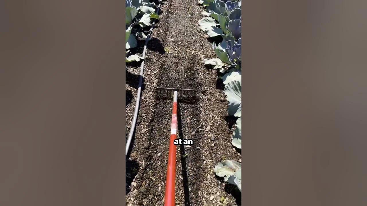 Check Out My Modified Rake!