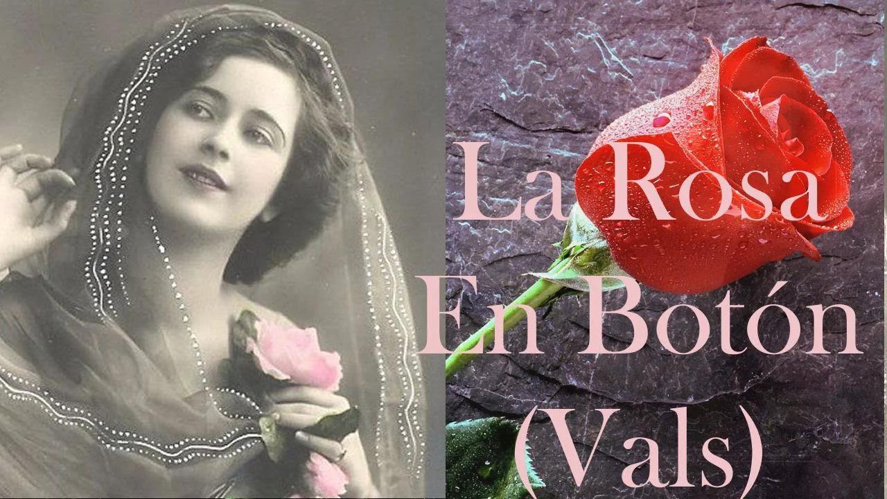 🌹 🥀LA ROSA EN BOTÓN (Vals)🥀🌹