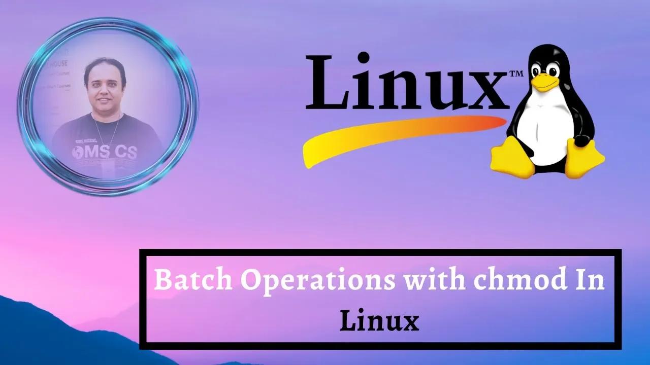 Batch Operations with chmod In Linux