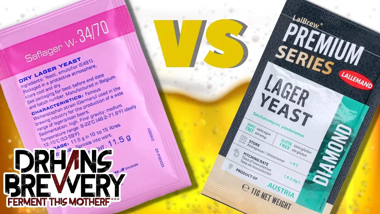 Saflager W34-70 VS Lallemand Diamond Lager Yeast