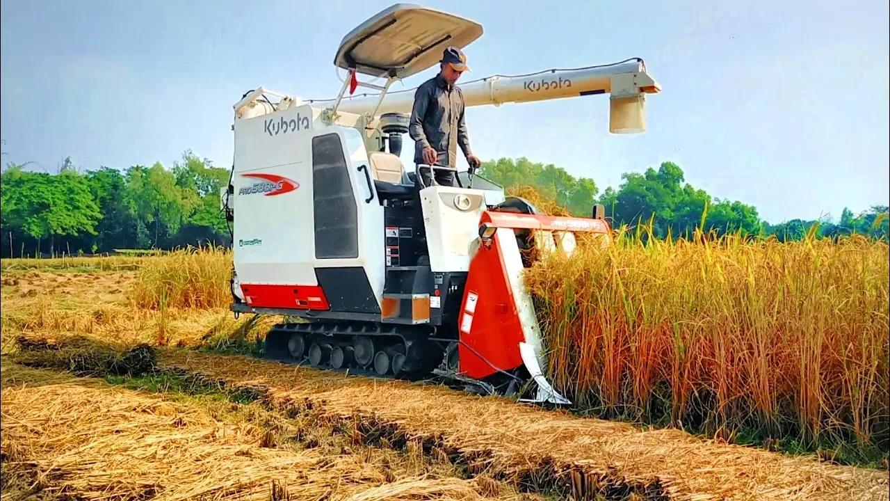 combine harvester || rice harvesting machine.