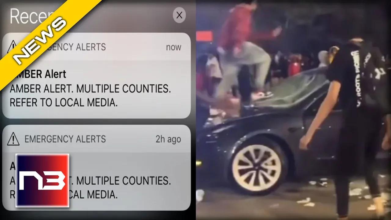 Chicago Residents Fight Back Against Teen Mobs with Amber Alert Style ...