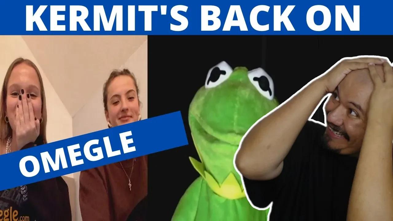 Kermit on Omegle Reaction: Kermit's back on Omegle - Maxamili