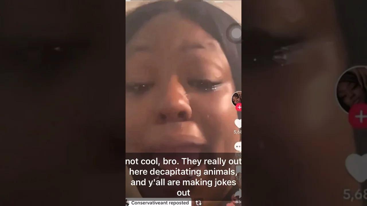 🚨Kamala Harris was laughing as Springfield Ohio residents are in tears ...