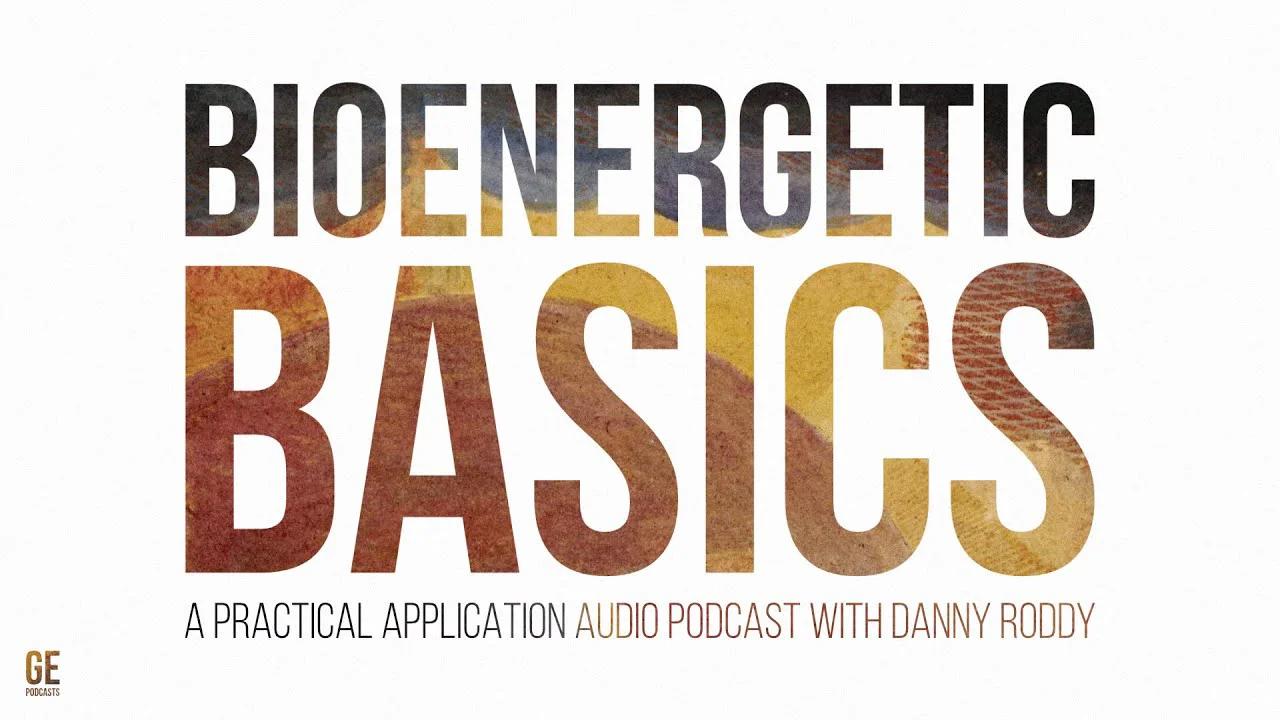 Bioenergetic Basics #1: Successfully Using a Thyroid Supplement of T3 ...