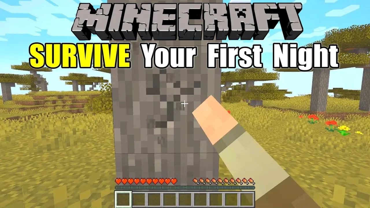 Minecraft How to Survive Your First Night - Survive & Thrive 2024 - EP 1