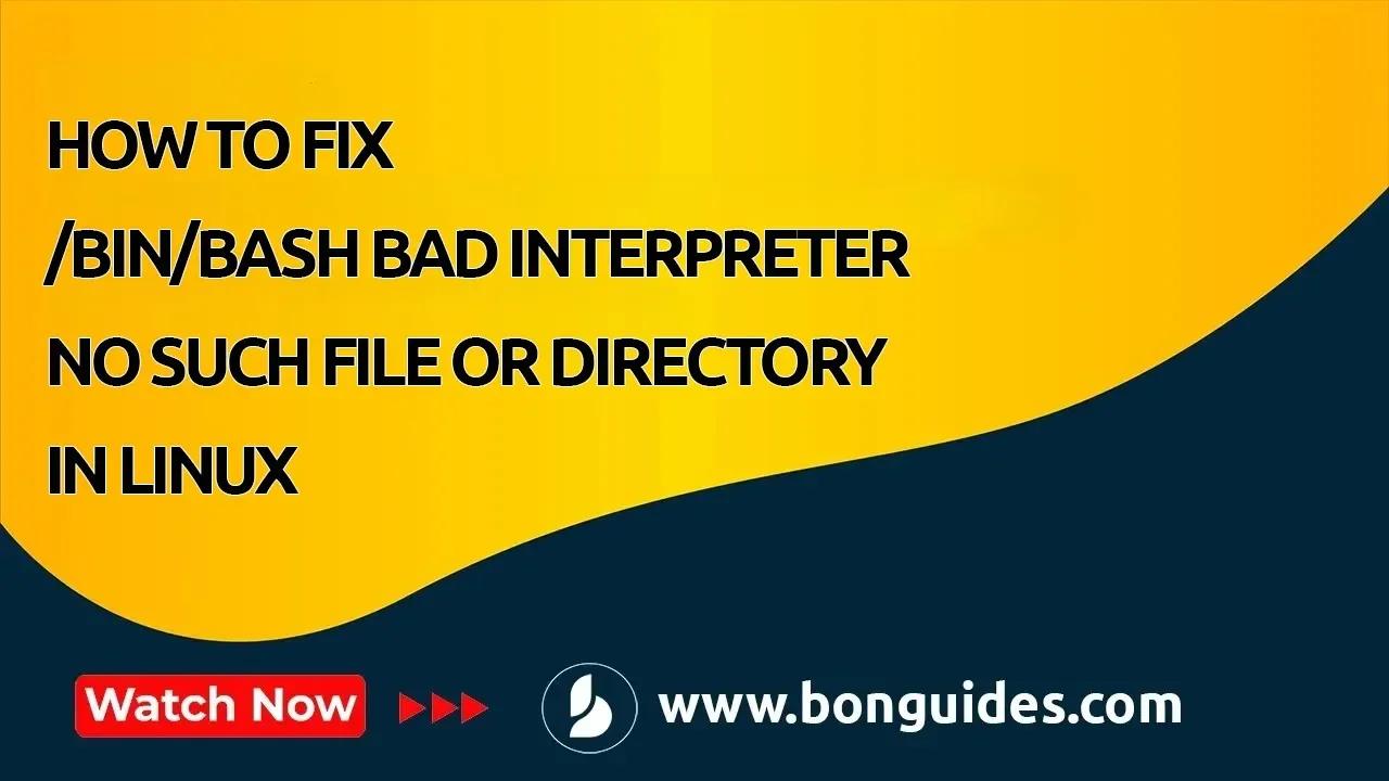 How to Fix /bin/bash Bad Interpreter No Such File or Directory in Linux How to Fix /bin/bash Bad Interpreter No Such File or Directory in Linux