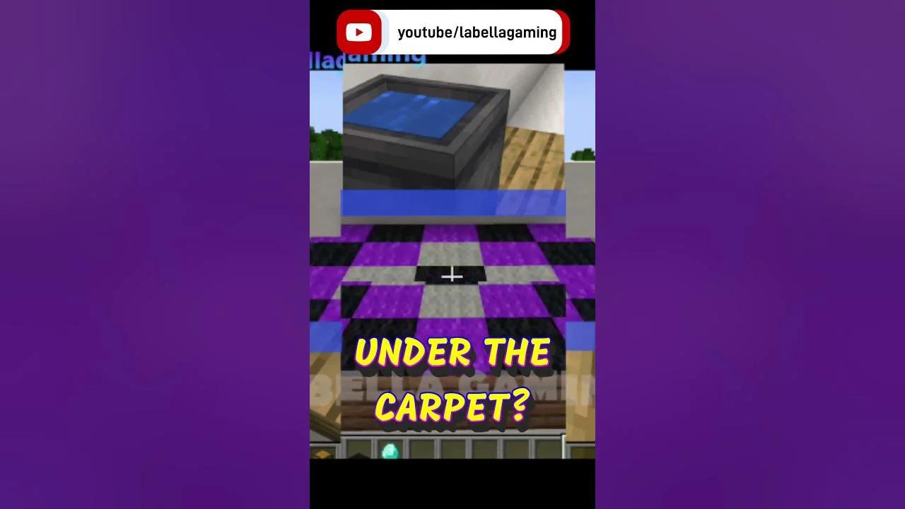 2 Ways To HIDE Your Chest | Minecraft