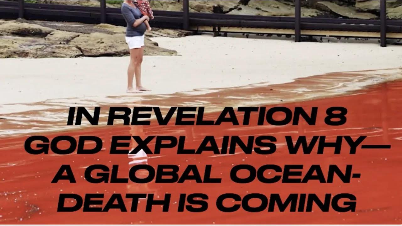 RED TIDE & THE DEATH OF OCEANS--WHY DOES GOD SEND A GLOBAL OCEAN DEATH ...