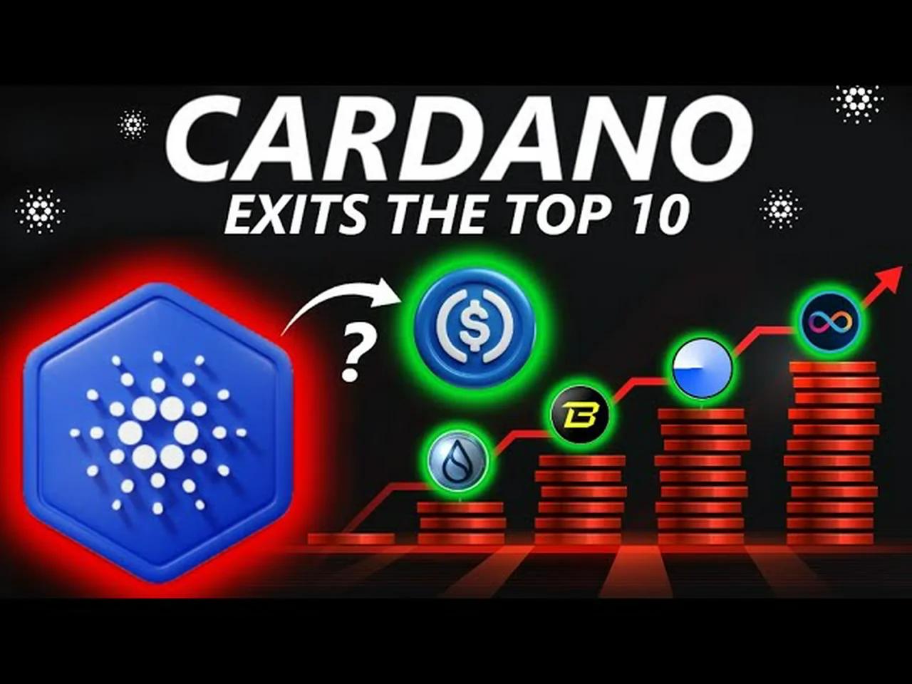 WHY IS CARDANO NOT IN THE TOP 10?